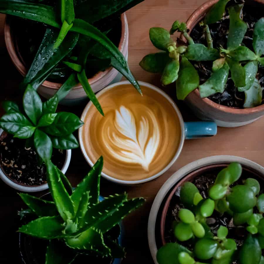 Design Trends for the Festive Season 2020 | Aludecor Blog